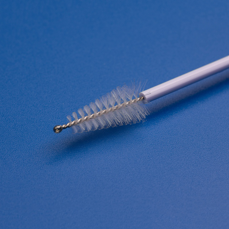 Cytological brush/Pap Smear/chlamydia/HPV Screening/Protective bulb tip ...